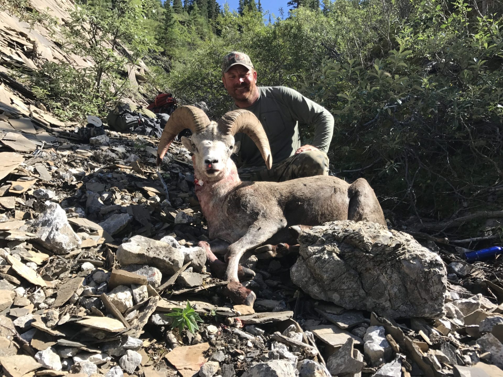 Gallery - Prophet Muskwa