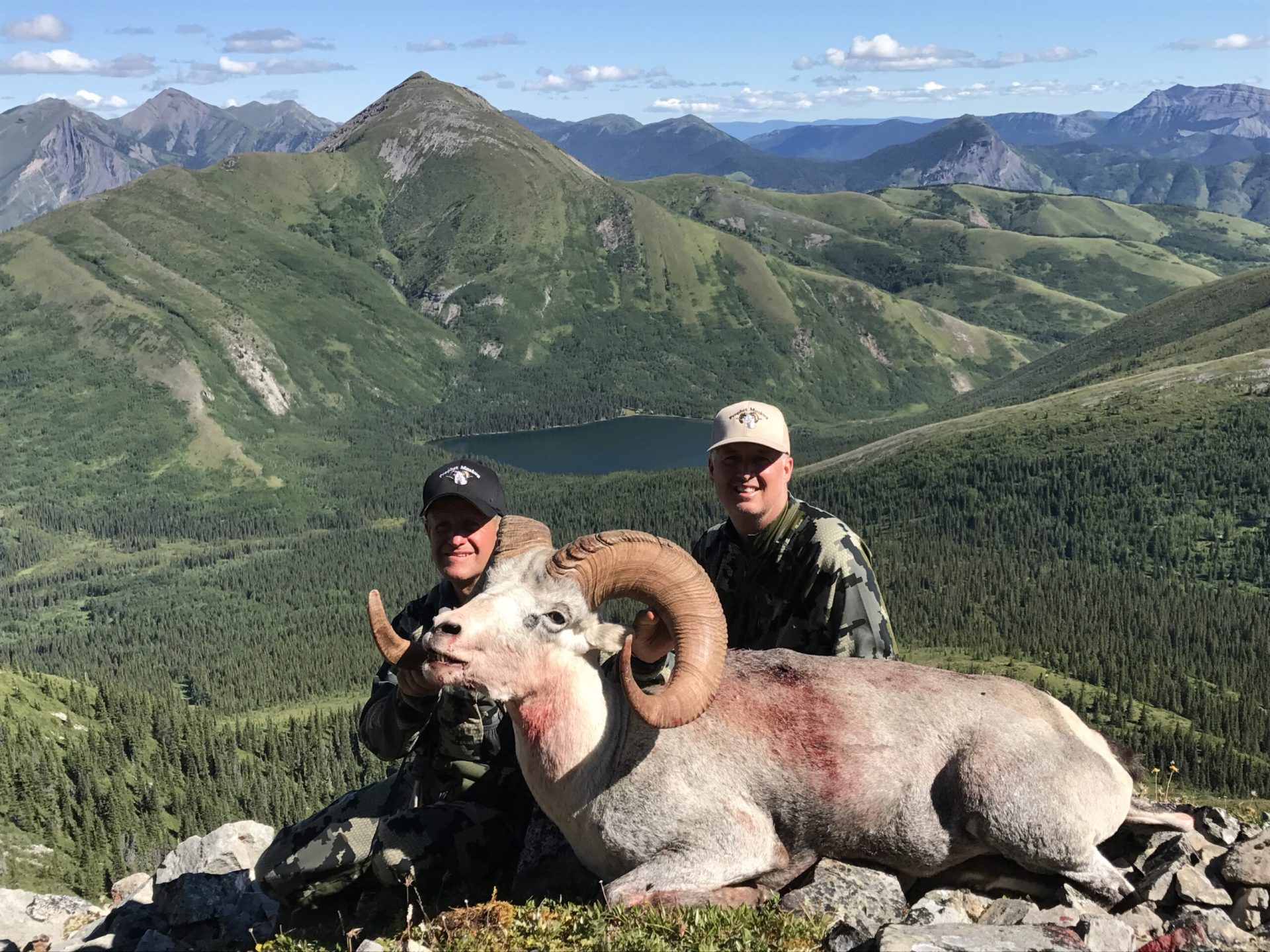 Gallery - Prophet Muskwa