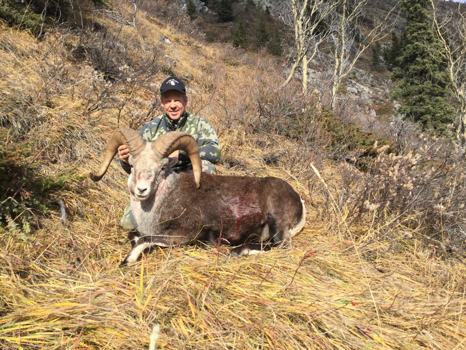 Gallery - Prophet Muskwa